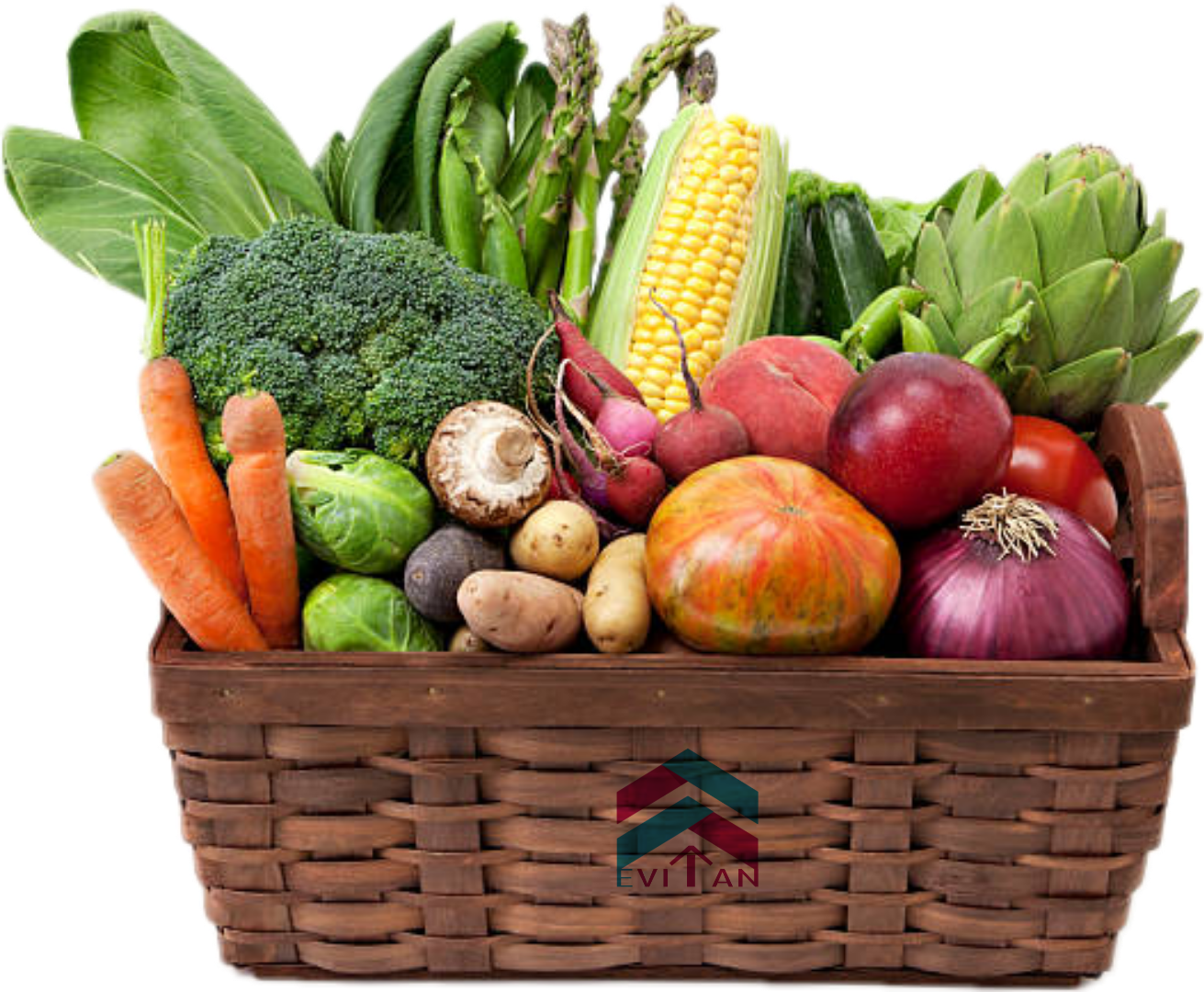 Services Page || Evitan